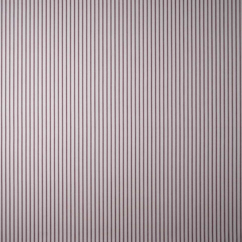 Ticking Cotton, Berry